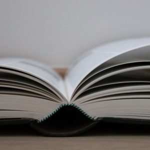 The Kaizen Principle - The Elite Trainer