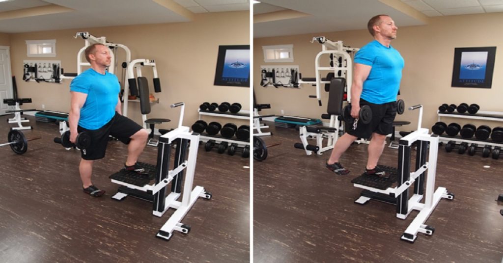 Dumbbell Forward Step-Up - The Elite Trainer