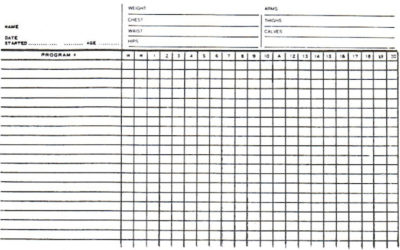 Training Log - The Elite Trainer