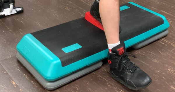 Home - The Elite Trainer